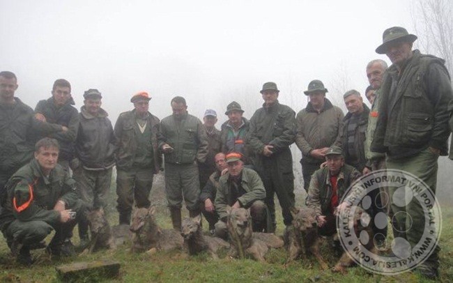 Lovci iz Živinica odstrijelili šest vukova – NEON Televizija